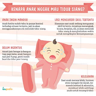 Infografis seputar Kehamilan, Kelahiran, dan Perkembangan Anak - Ibupedia